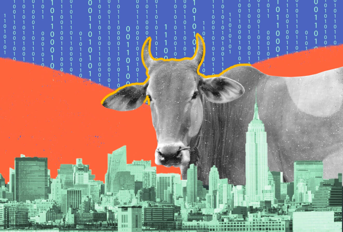 Bear Flag Pattern — What Is It And How to Identify It?