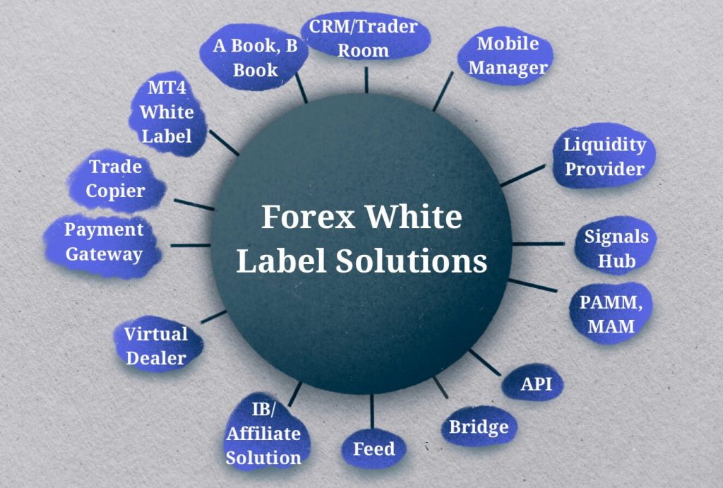 White Label Forex Software — Ultimate Guide on Choosing The Best Solution
