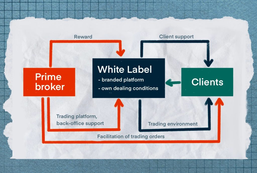 White Label Forex Software — Ultimate Guide on Choosing The Best Solution