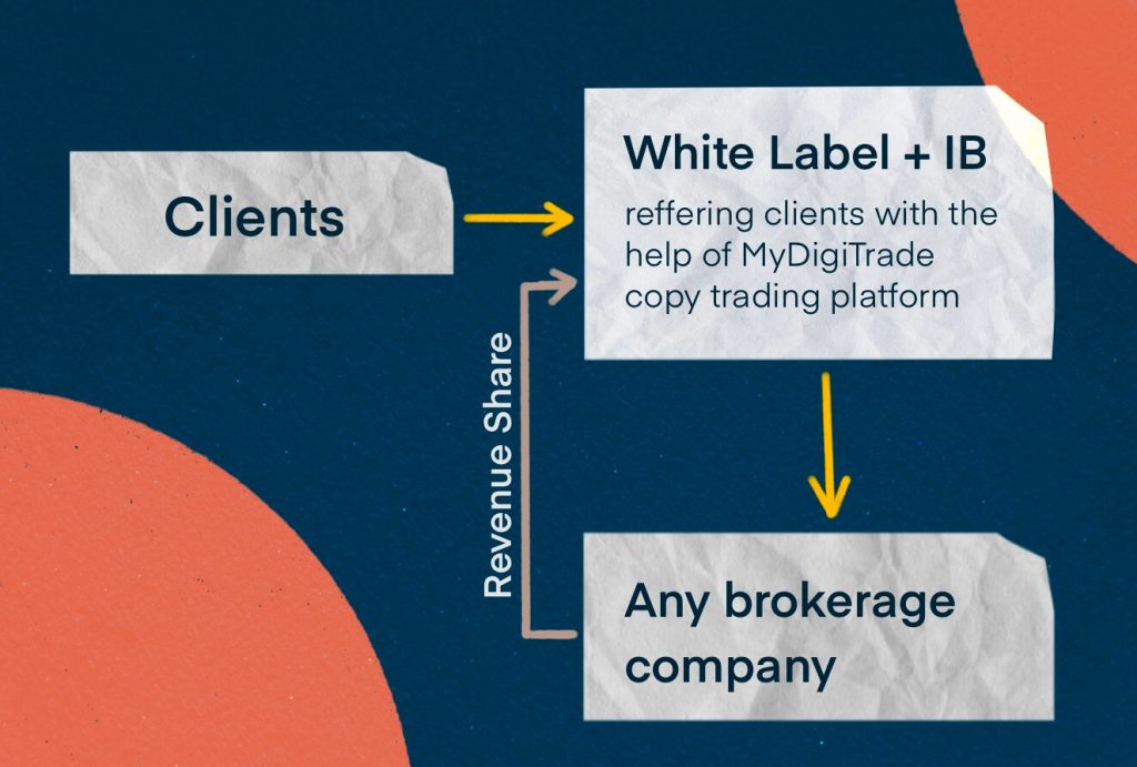 White Label Forex Software — Ultimate Guide on Choosing The Best Solution