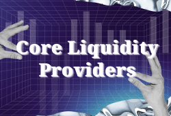 Core Liquidity Providers and Their Features