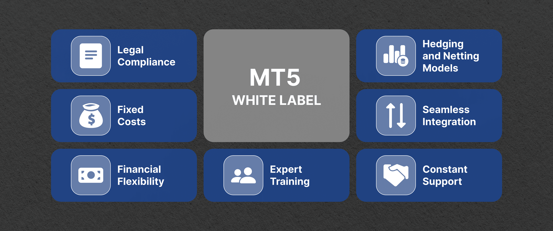 Setting Up a Brokerage Based on MT5 White Label Model