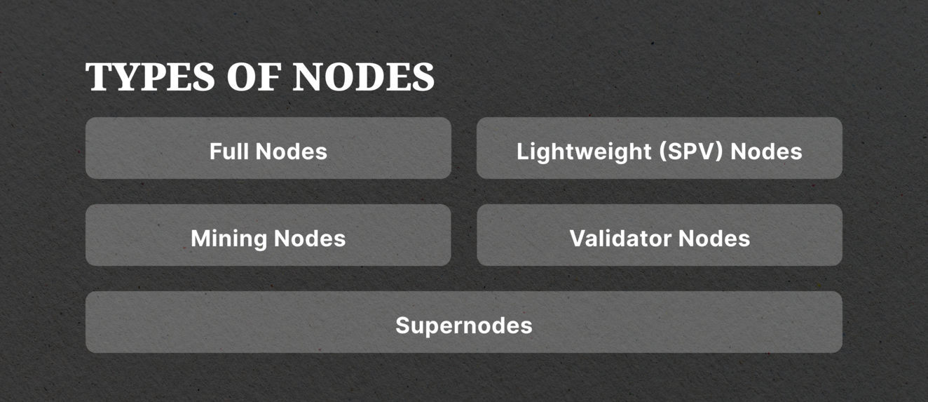 What Is a Node in Cryptocurrency? - Article