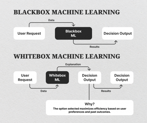 What is Black Box AI, And What Does It Promise Us?