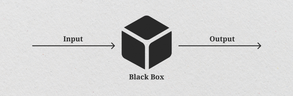 What is Black Box AI, And What Does It Promise Us?