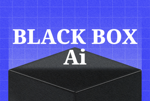 What is Black Box AI, And What Does It Promise Us?