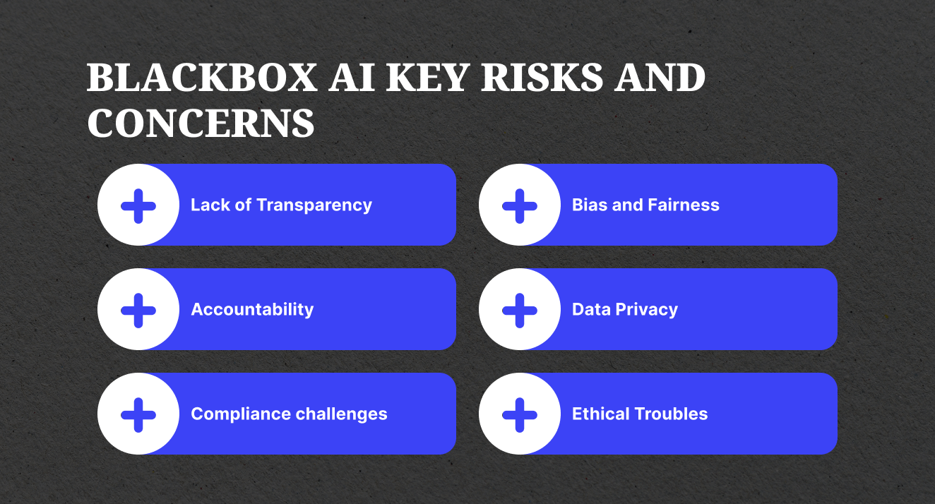 What is Black Box AI, And What Does It Promise Us?