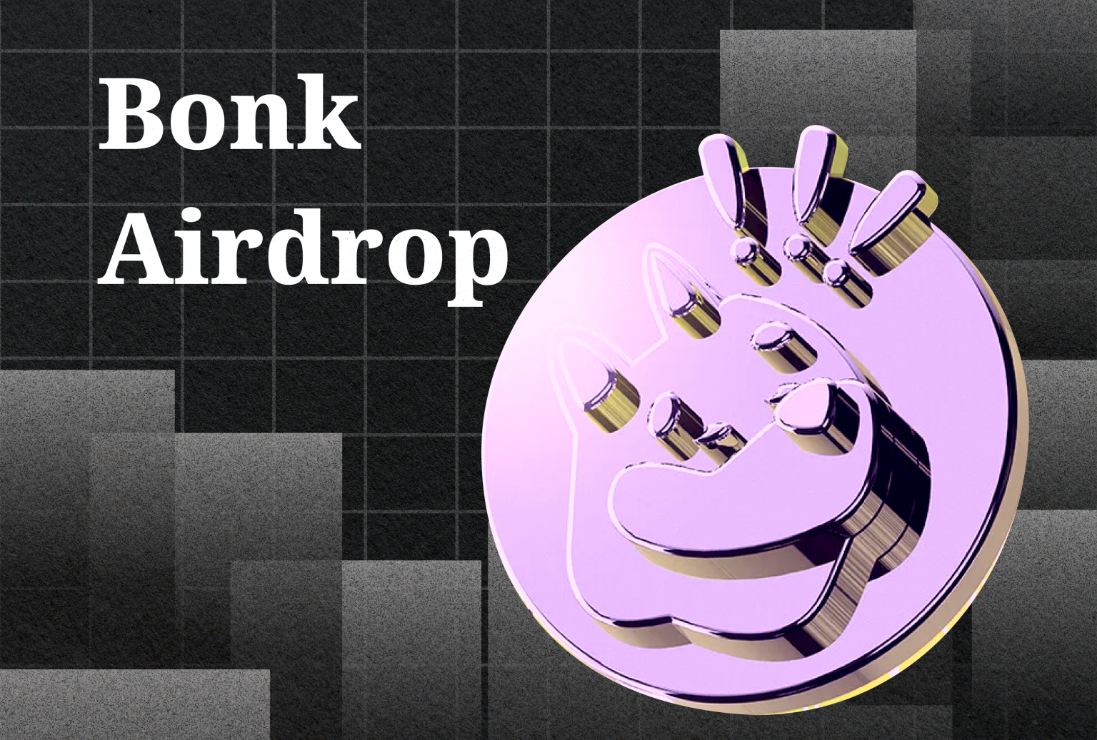 Bonk Airdrop Guide: How to Claim Tokens