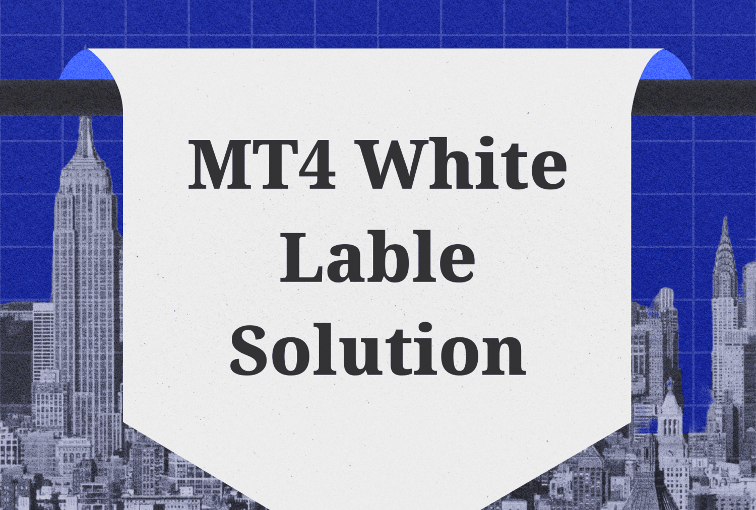 What Is MT4 White Label Solution? Is It Still Accessible?