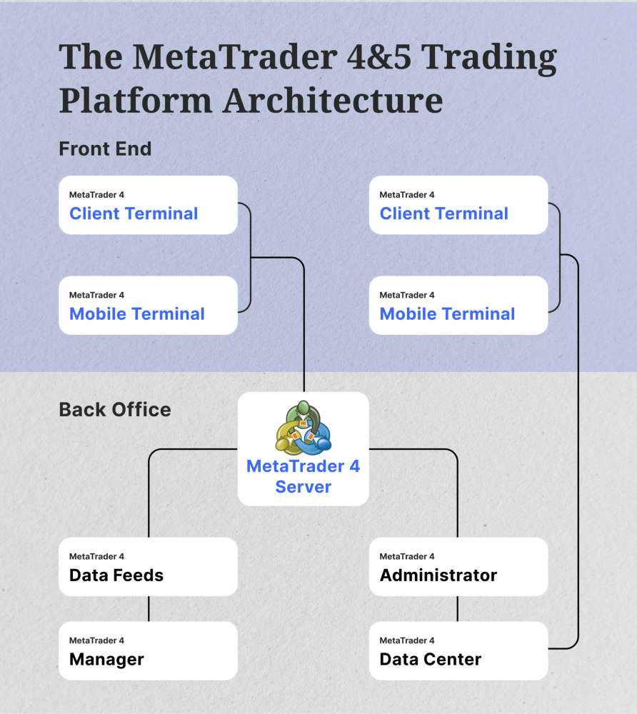 What's Next After the MetaTrader 5 White Label?
