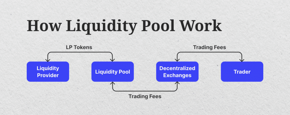 What Makes Liquidity Pools Crucial for Your DEXs?