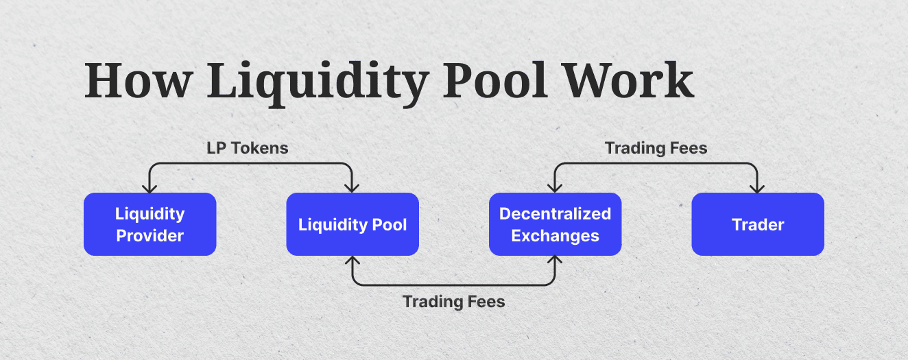 What Makes Liquidity Pools Crucial for Your DEXs?