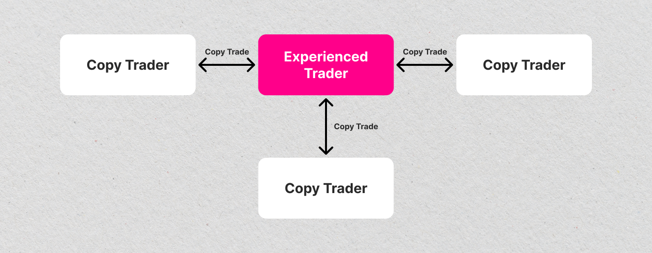 Explaining The Concept of Copy Trading in 2024