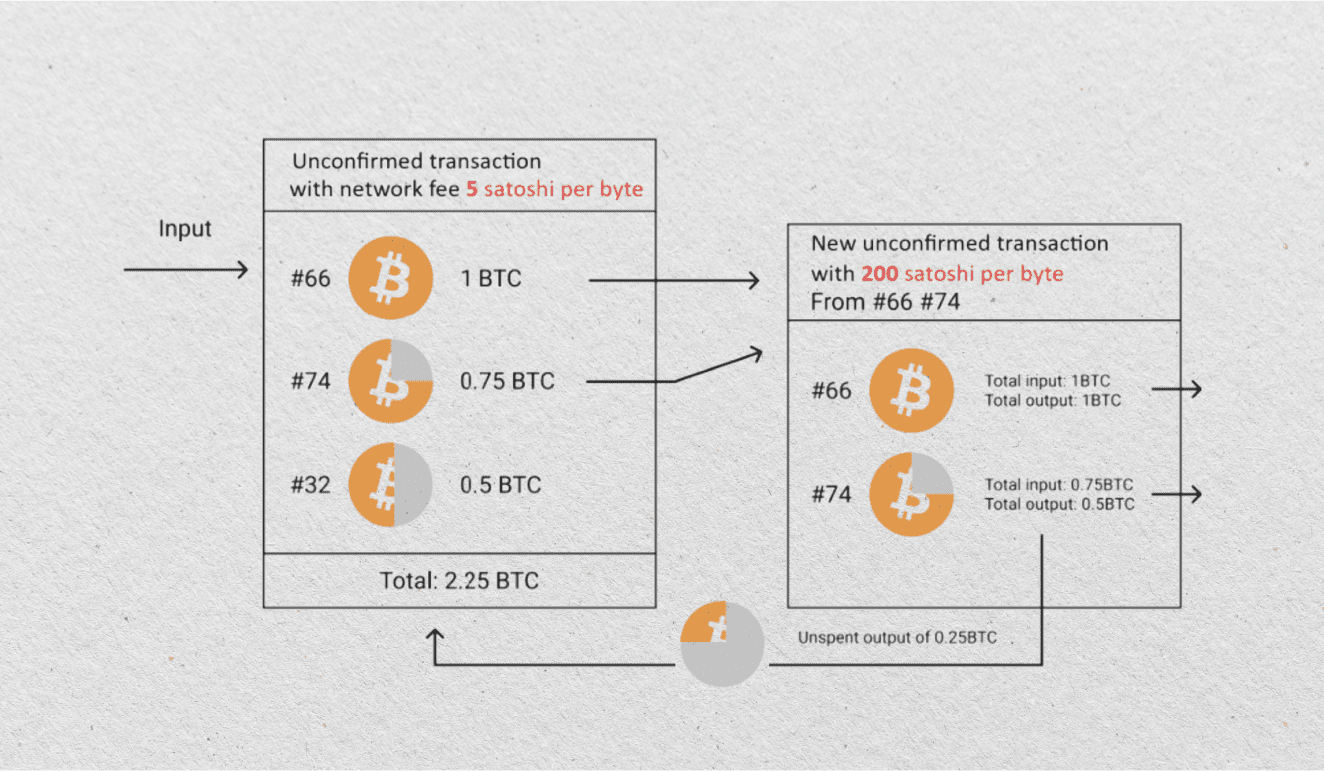 What is BTC Accelerator and How Does It Work?