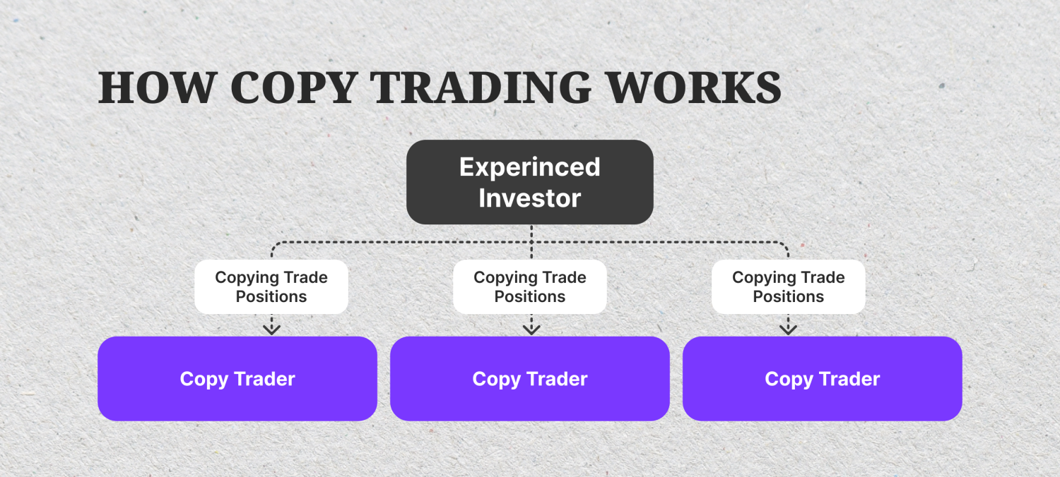 Best Copy Trading Software Platforms in 2025