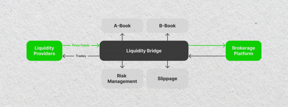 How to Start a Liquidity Provider Business in 2025
