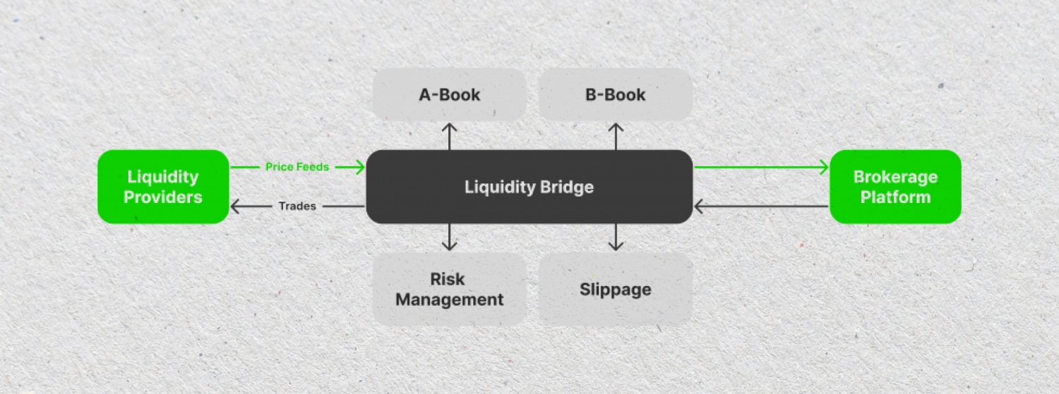 How to Start a Liquidity Provider Business in 2025